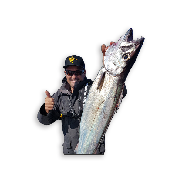 Shaun Clancy – Humminbird