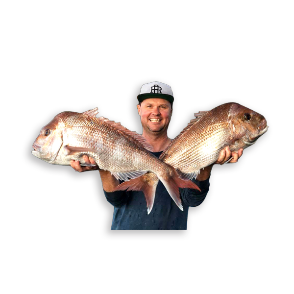 Paul Worsteling – Humminbird